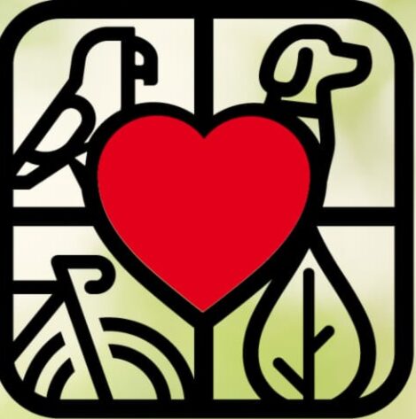 Transparencia Alameda de Pinta